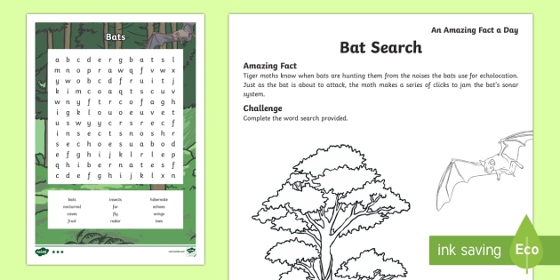 Bats Word Search Worksheet / Worksheet, worksheet