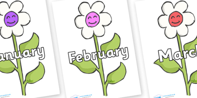 Months of the Year on Flowers (teacher made)