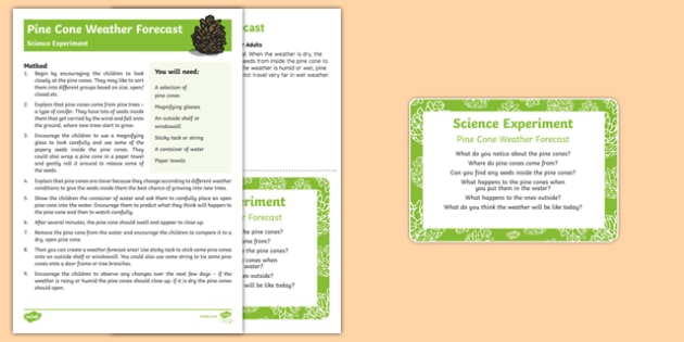 EYFS Pine Cone Weather Forecast Science Experiment and Prompt Card Pack