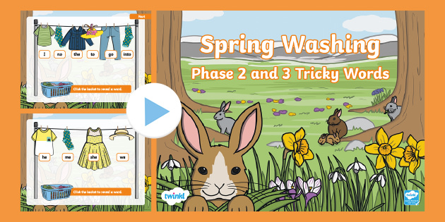 Spring Washing Phase 2 and 3 Tricky Word PowerPoint