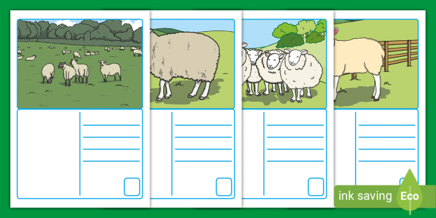 FREE! - Sheep Themed Postcards (teacher made)