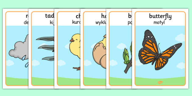 Spring Display Posters Polish Translation (Teacher-Made)