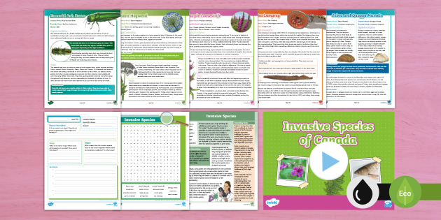 Science Word Searches | twinkl.com.au