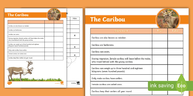 Caribou True or False Activity (teacher made)