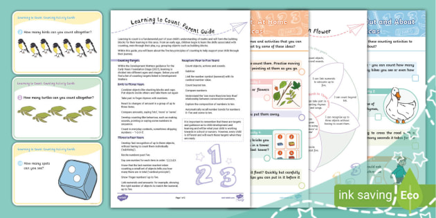 Learning to Count: Resource Pack (teacher made)