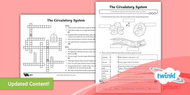 Science: Animals Including Humans Year 6 Unit Home Learning Tasks