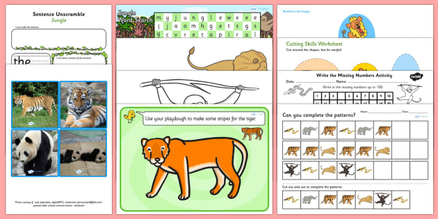 Top Ten Jungle Activity Pack (teacher made)
