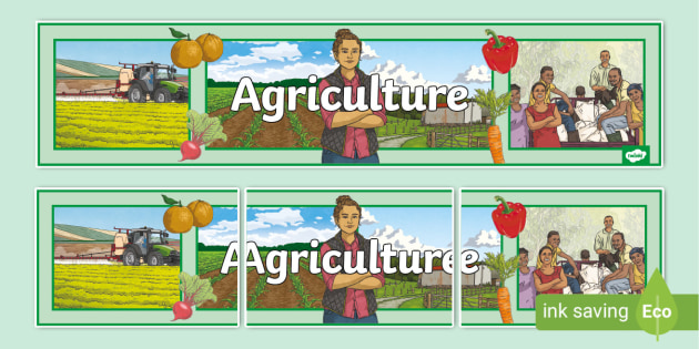 Agriculture Display Banner (teacher made)