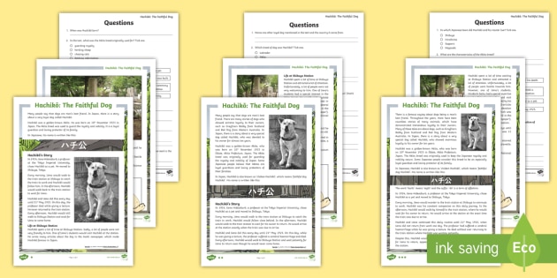 Hachikō Differentiated Reading Comprehension Activity