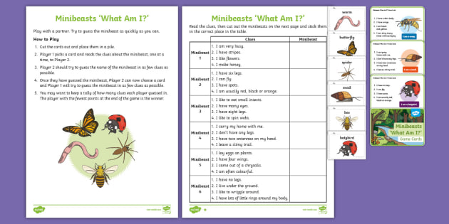 KS1 Minibeasts 'What Am I?' Game and Activity Sheet