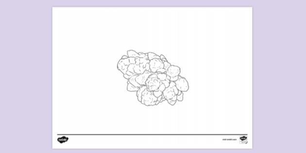 Lead Colouring | Colouring Sheet (teacher made)