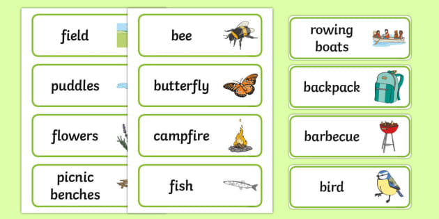 Outdoor-Themed Word Cards