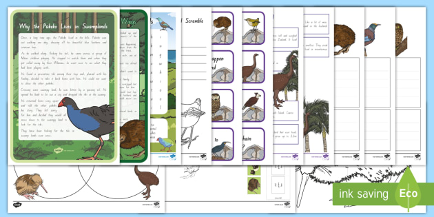 New Zealand Birds Reliever's Activity Pack (teacher made)