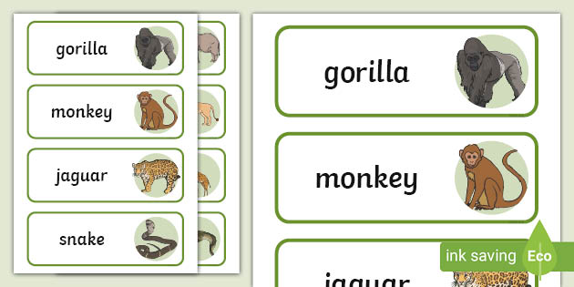 Jungle Journey Word Cards (teacher made)