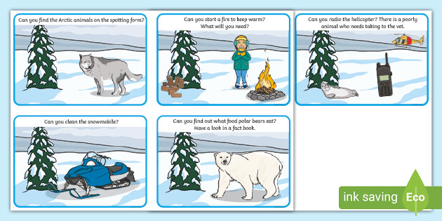 Arctic Explorer Role Play Challenge Cards (teacher made)