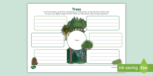 Trees Mind Map, tree (teacher made)