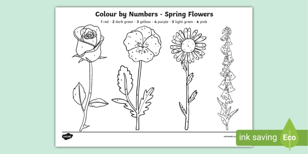 Colour by Numbers - Spring Flowers (Teacher-Made)
