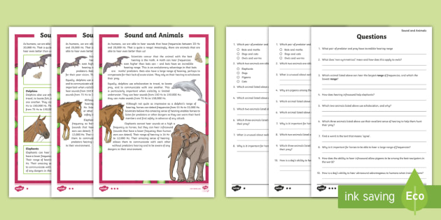 Sound and Animals Differentiated Reading Comprehension Activity - Sound