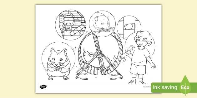 Hamster Colouring Page (teacher made)