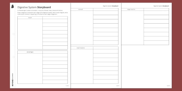 Digestive System Storyboard - Beyond Science - Secondary