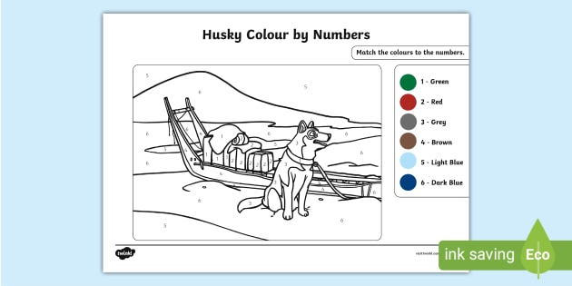 FREE! - Husky Dog Colour By Number (teacher made)