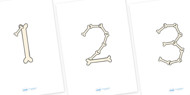 👉 Bone Display Numbers (teacher made)