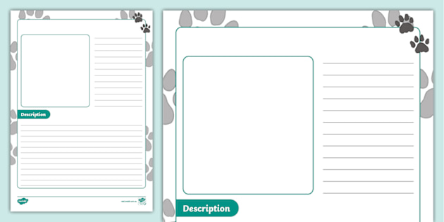 Editable Writing Frames | twinkl.com.au