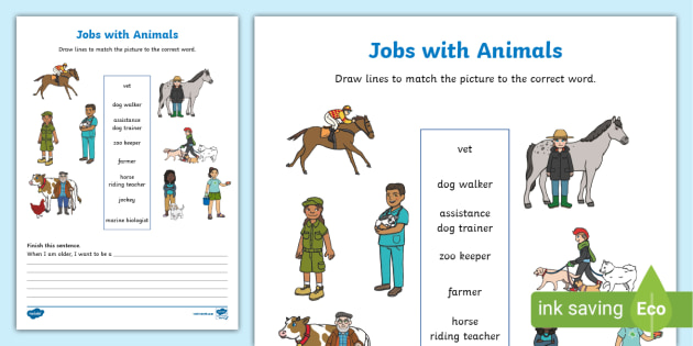 Jobs with Animals Activity Sheet (teacher made)