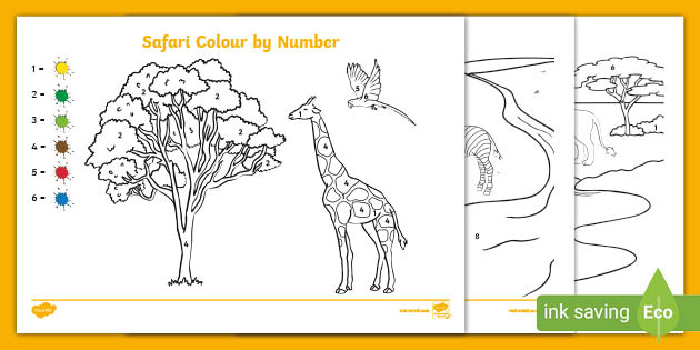 👉 Kindergarten Safari Colour by Number (Teacher-Made)