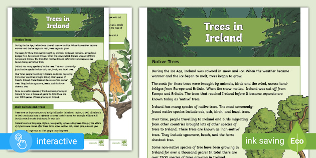 Trees in Ireland Reading Comprehension Activity - Twinkl