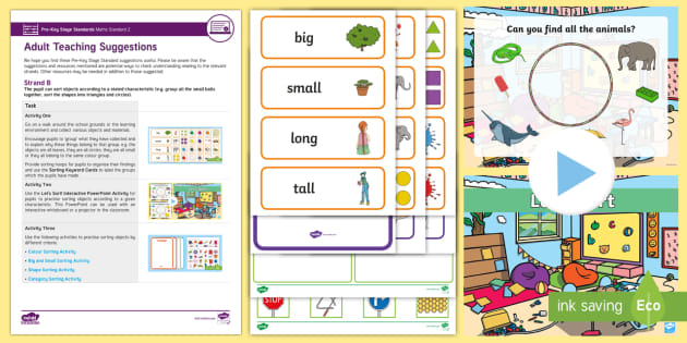 Sorting Sizes | twinkl.com.au