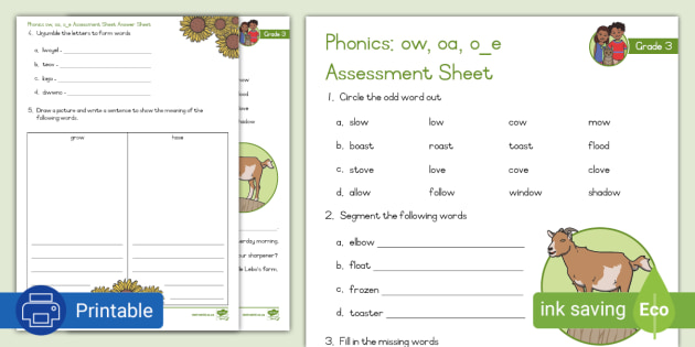 Grade 3 Phonics ow, oa, o_e Assessment Sheet (teacher made)