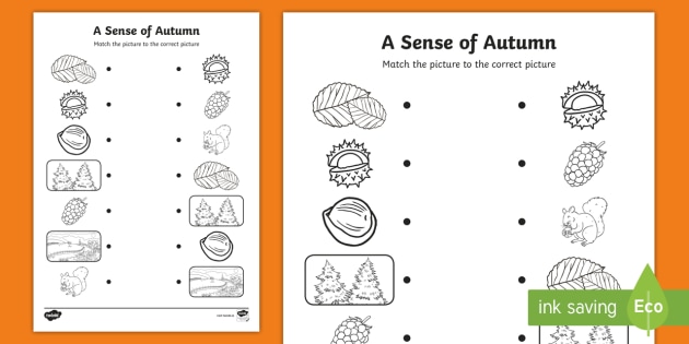 A Sense of Autumn Picture to Picture Matching Worksheet / Worksheet