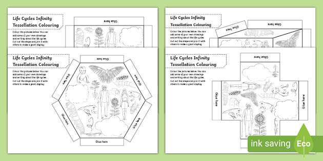 Life Cycles Infinity Tessellation Colouring (teacher made)