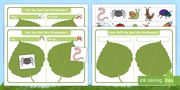 Minibeast Sorting Mats (teacher made)