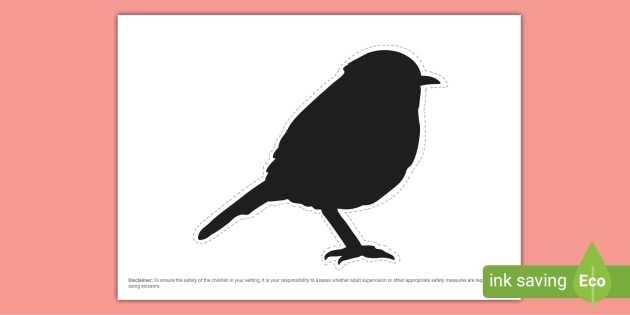 Robin Crafts | twinkl.co.uk