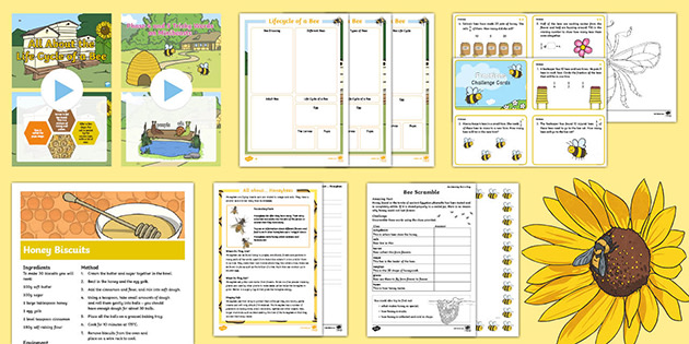 World Bee Day Resource Pack KS1 (teacher made)