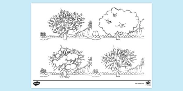 FREE! - Seasons Colouring Sheet | Colouring Sheet | Primary Resource