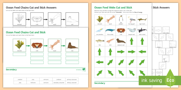 Ocean Food Web Cut and Stick Worksheet / Activity Sheet - Cut