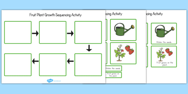 Plant Growth Sequencing Activity - Australia, Plant, Growth, Grow