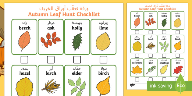 Autumn Leaf Hunt Checklist Arabic/English (teacher made)