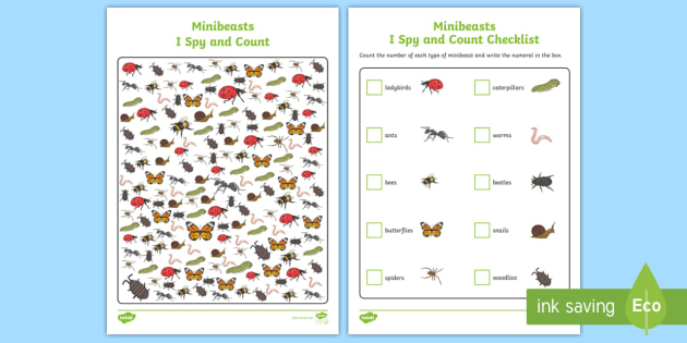 Minibeast I Spy and Count Activity (teacher made)