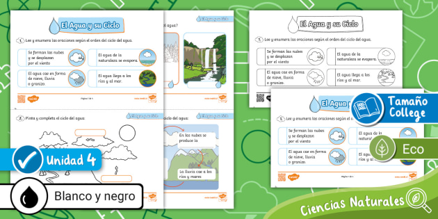 Hoja De Trabajo Sobre El Ciclo Del Agua, Clave De Respuestas