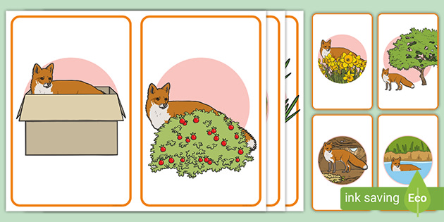 Where Is the Fox? Positional Language Picture Cards