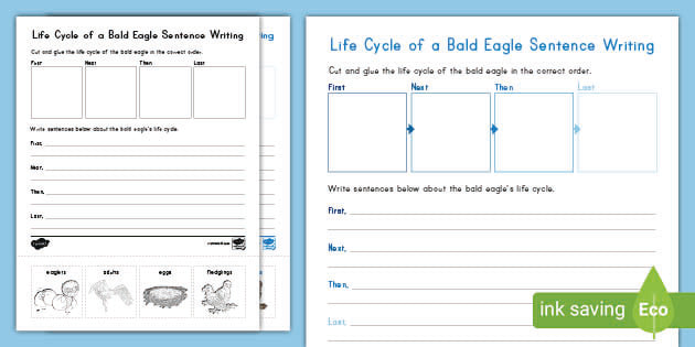 Life Cycle of a Bald Eagle Sentence Writing Activity