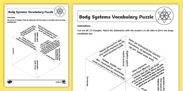 Body Systems Vocabulary Puzzle (Teacher-Made)