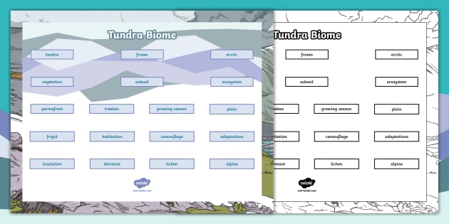 Tundra Biome Vocabulary Mat (teacher made)