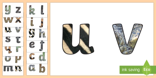 Animal Camouflage Display Lettering (teacher made)