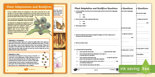Bushfire Plant Adaptations Science Reading Comprehension