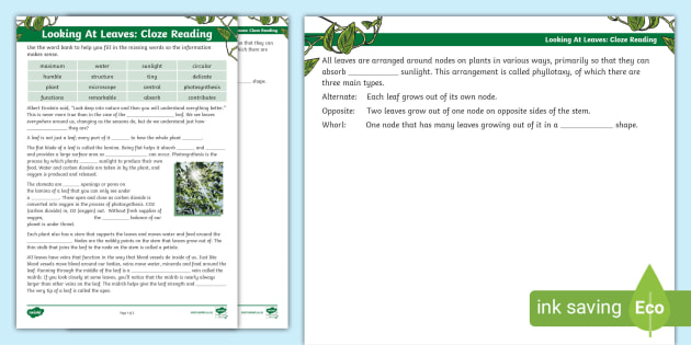 Looking At Leaves - Cloze Reading (teacher made)